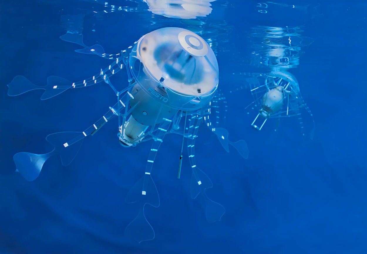 Aqua Jelly | Event | Shopping Mall | Gear Factor